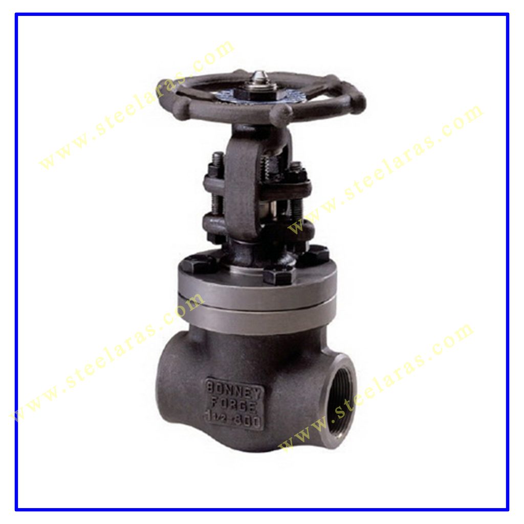 Carbom Steel Gate Valve Class 800 – Aras Steel
